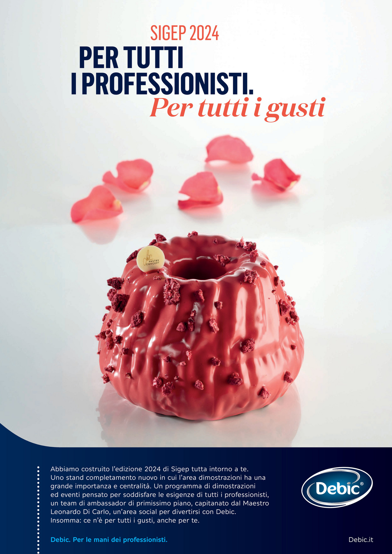 I Ricettari Debic | Debic